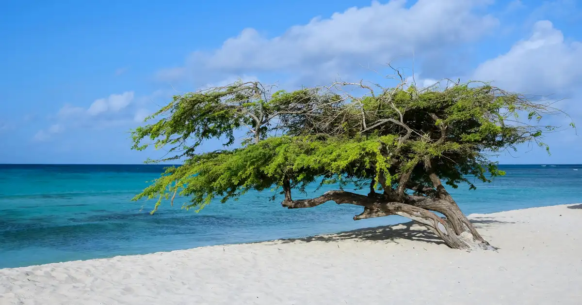 eSIM Aruba 2026 — Chip internacional SETAR 4G/5G | eSIM Viajes